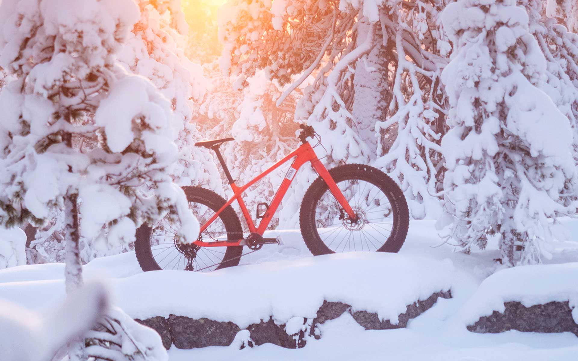 Saariselkä bike rental | Roll Outdoors
